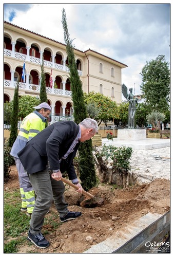 Δενδροφυτεύσεις και καλλωπισμός χώρων πρασίνου στον Δήμο Νίκαιας-Αγ.Ι ...